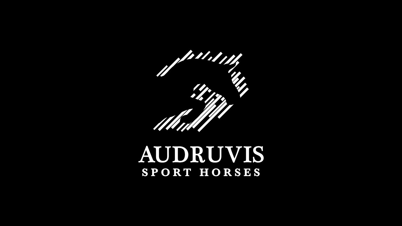 11AB // Open Class – 60-80 cm – Competition against the clock, Table A ...