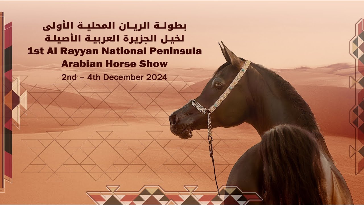 1st Al Rayyan National Peninsula Arabian Horse Show (Day2) - Total ...