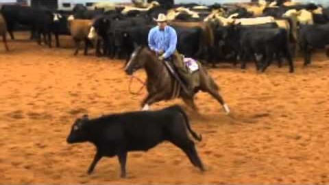 2012 AQHA Senior Cutting World Champion - Total Horse Channel ...