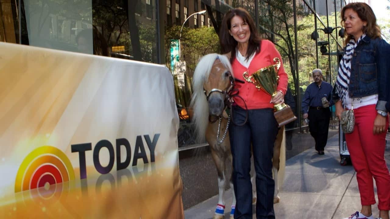 Amos The Wonder Horse on the Today Show - Total Horse Channel ...