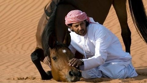 Bedouin Horse Master – Ali Al Ameri - Total Horse Channel | Equestrian TV