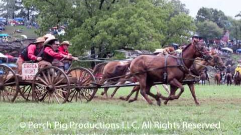 Chuck Wagon Racing - Total Horse Channel | Equestrian TV