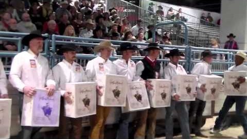 Colt Starting Challenge USA - Total Horse Channel | Equestrian TV