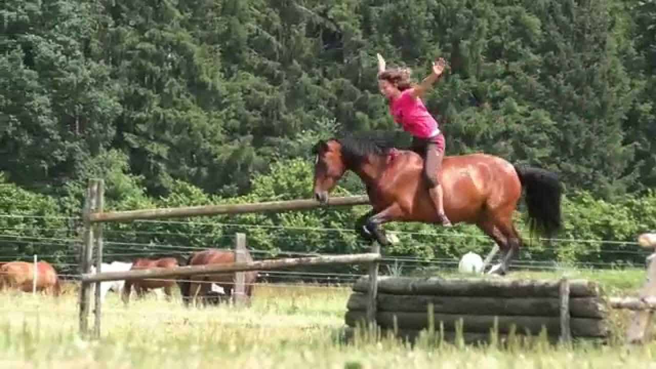 Estella – You’re a champion! - Total Horse Channel | Equestrian TV