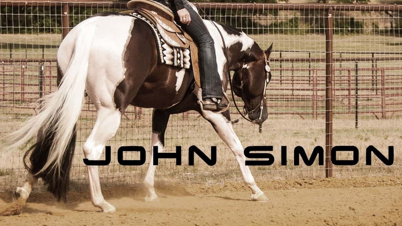 John Simon – “The Future Is Now” - Total Horse Channel | Equestrian TV