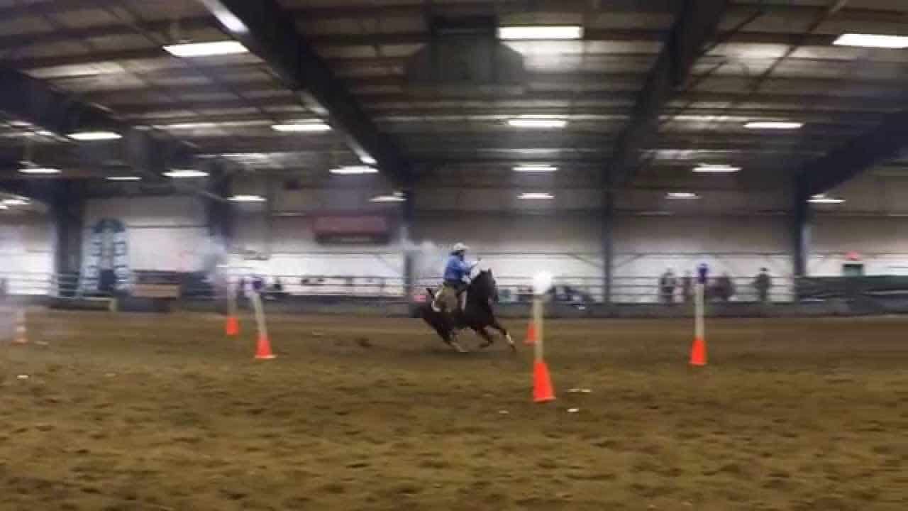 Mounted Shooting – Equine Expo - Total Horse Channel | Equestrian TV