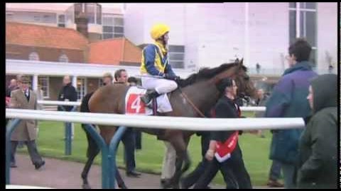 Newmarket Horse Racing Documentary – A Sporting Chance - Total Horse ...