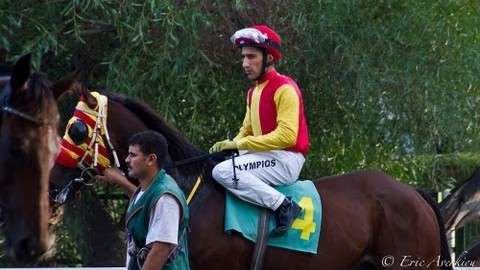 Nicosia Race Club - Total Horse Channel | Equestrian TV