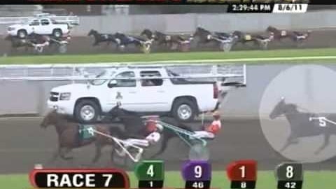 RACE DAY Documentary - Total Horse Channel | Equestrian TV