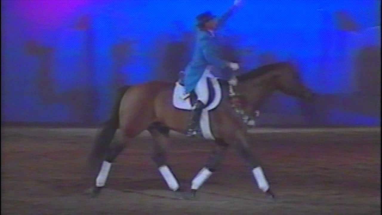 RUGGED LARK…The Legacy Lives On - Total Horse Channel | Equestrian TV