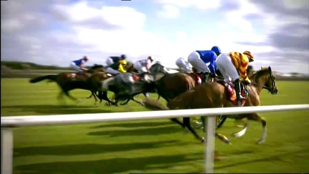 The Ultimate Summer Festival - Total Horse Channel | Equestrian TV