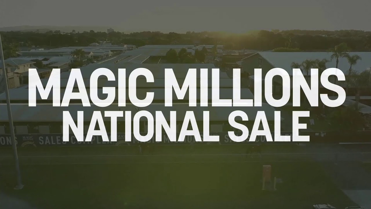 2021 Magic Millions Gold Coast March Yearling Sale | LIVE - Total Horse ...