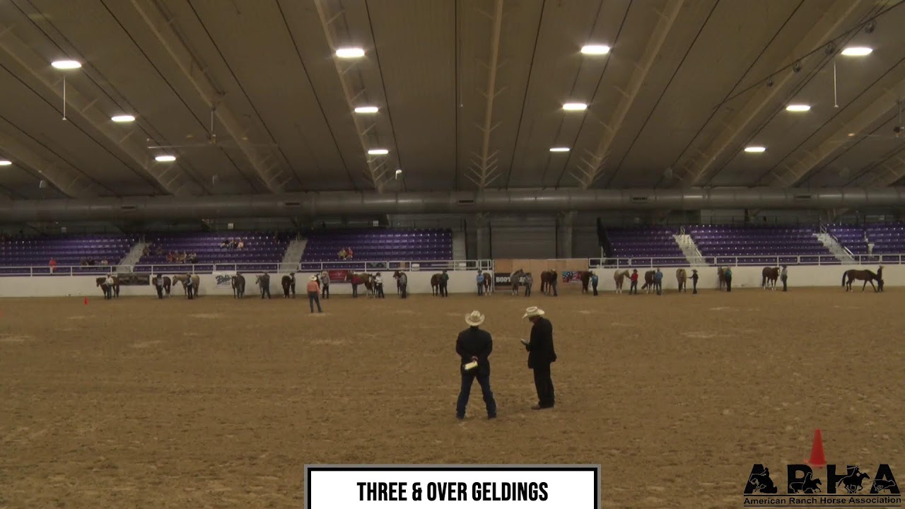 2023 American Ranch Horse World Championship Show | Sunday Arena A ...
