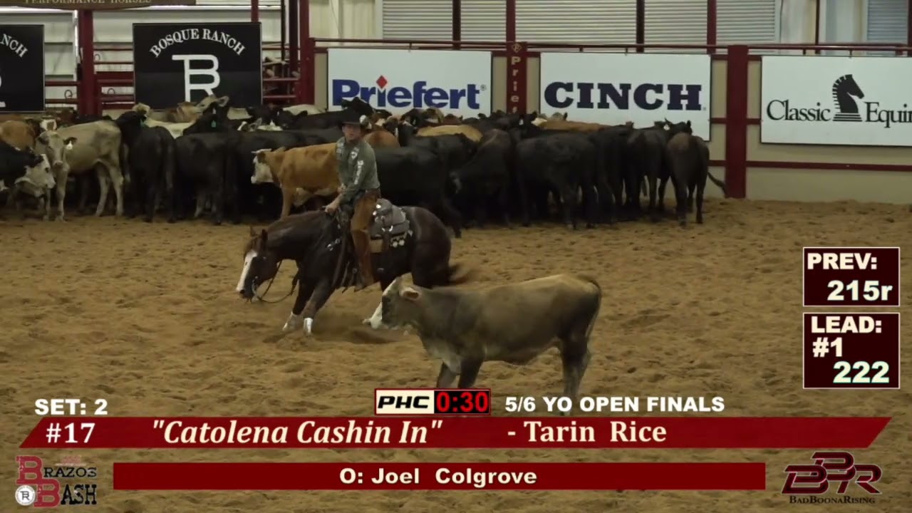 2023 Brazos Bash 5/6 Yo Open Champions – Total Horse Channel ...