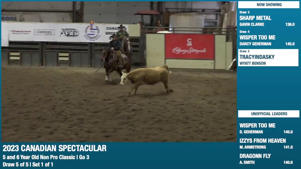 2023 Canadian Spectacular | Cutting - Total Horse Channel | Equestrian TV