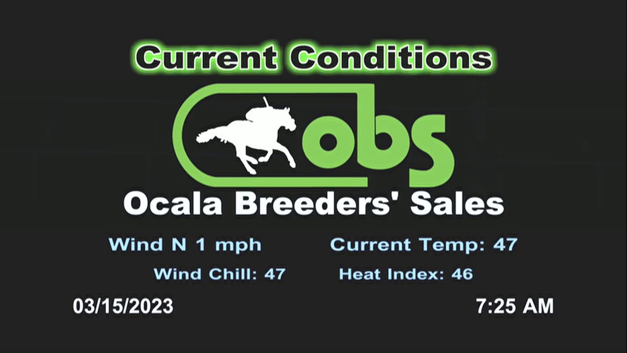 2023 OBS March Under Tack Day 2 - Total Horse Channel | Equestrian TV