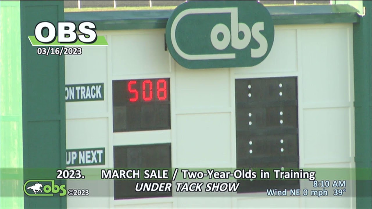 2023 OBS March Under Tack Day 3 - Total Horse Channel | Equestrian TV