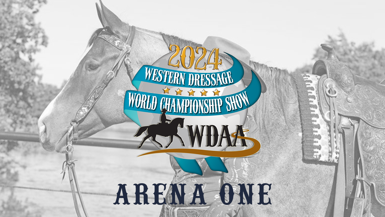 WDAA | LIVE | Ring 1 - Total Horse Channel | Equestrian TV