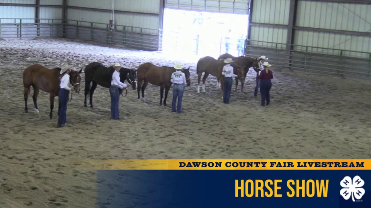 2024 Dawson County Fair | Horse Show - Total Horse Channel | Equestrian TV
