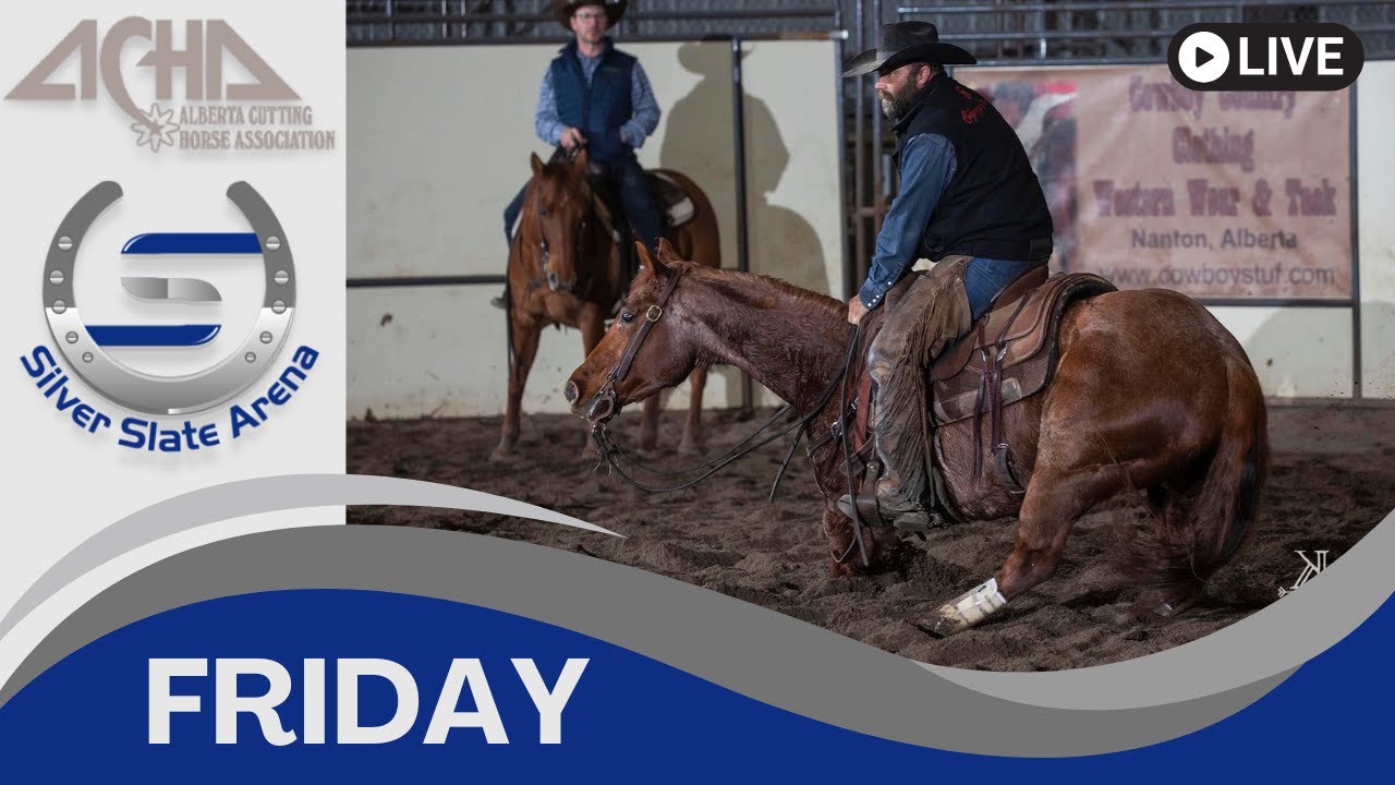 2024 Silver Slate ACHA May Show | Friday - Total Horse Channel ...