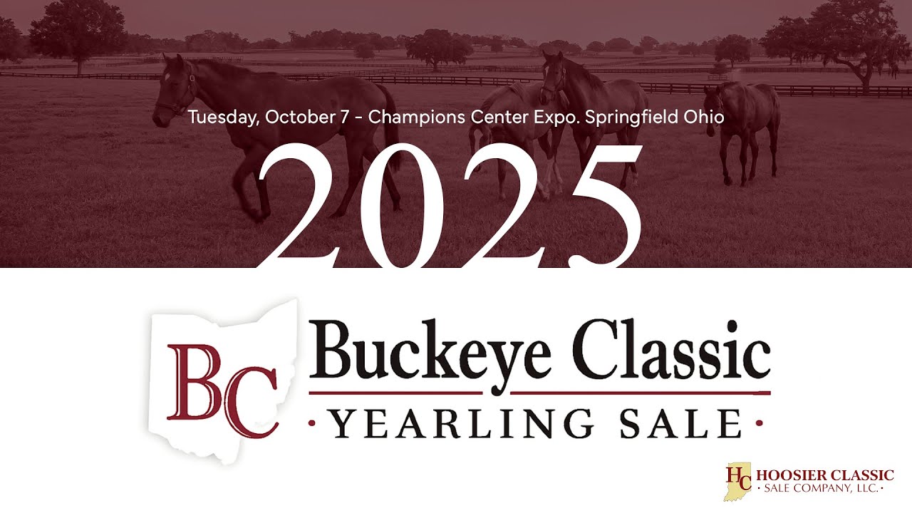2025 Buckeye Classic Yearling Sale – Monday - Total Horse Channel ...