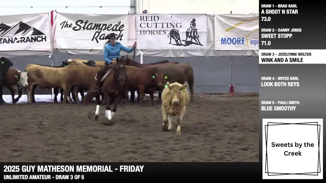 2025 Guy Matheson Memorial – Friday - Total Horse Channel | Equestrian TV