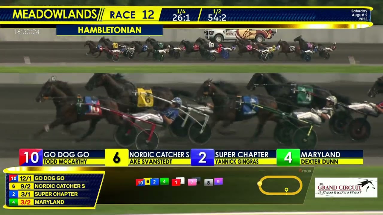 2025 Hambletonian – Full Race - Total Horse Channel | Equestrian TV