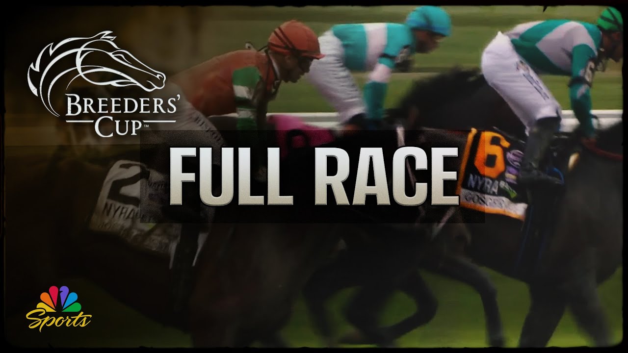 2025 Haskell Stakes - Total Horse Channel | Equestrian TV