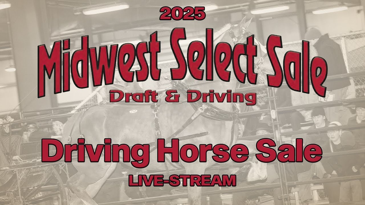 2025 Midwest Select Sale (Driving Horse Sale) - Total Horse Channel ...