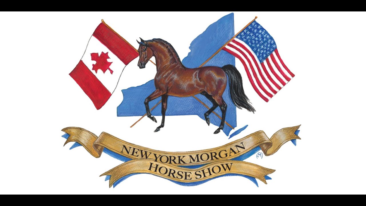 2025 New York Regional Morgan Horse Show Saturday Evening - Total Horse ...