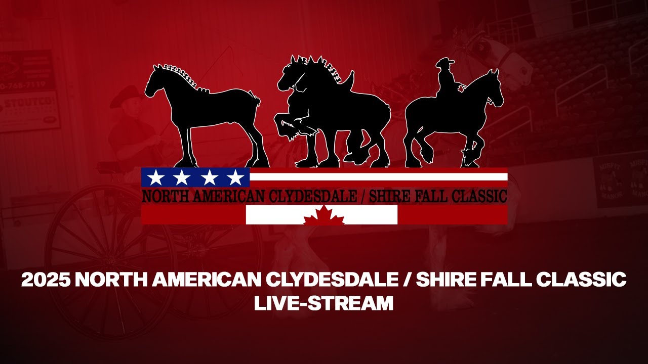 2025 North America Clyde/Shire Fall Classic – Saturday Afternoon ...