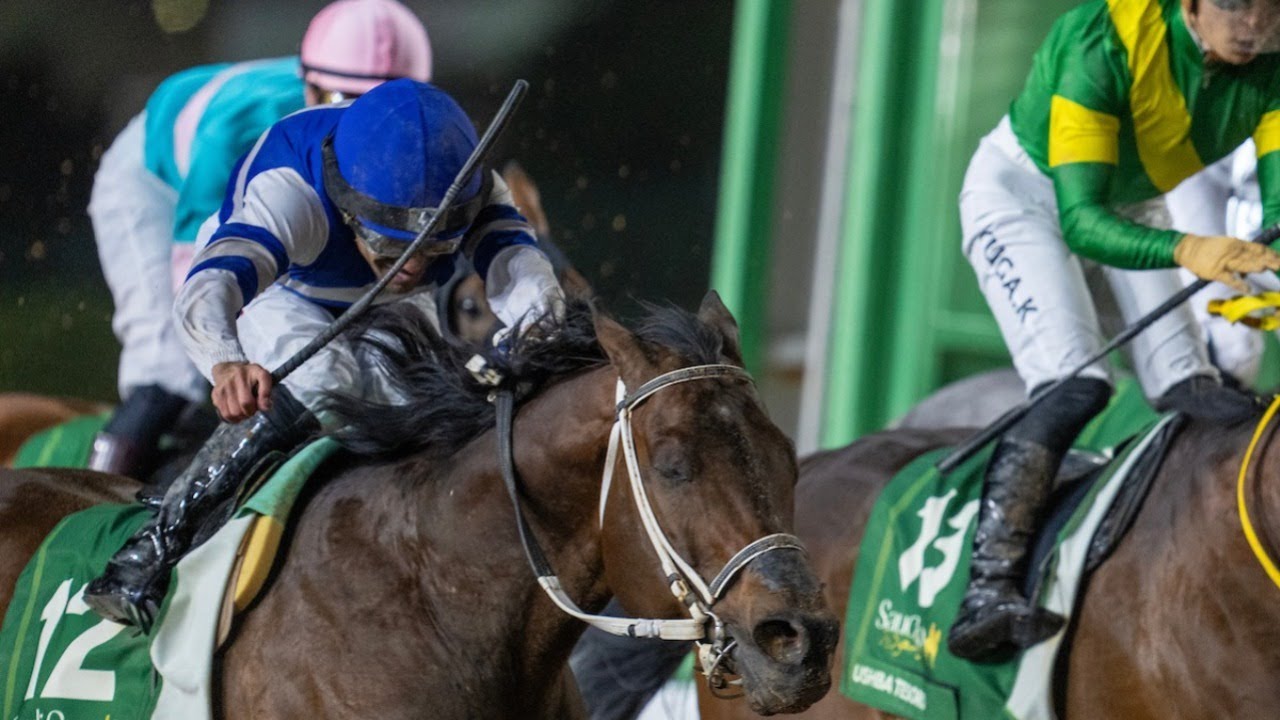 2025 Saudi Cup meeting - Total Horse Channel | Equestrian TV