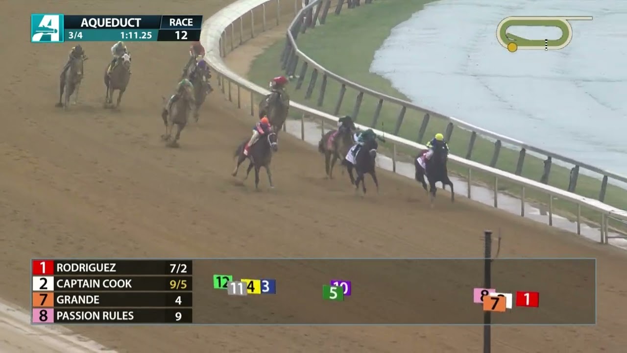 2025 Wood Memorial - Total Horse Channel | Equestrian TV