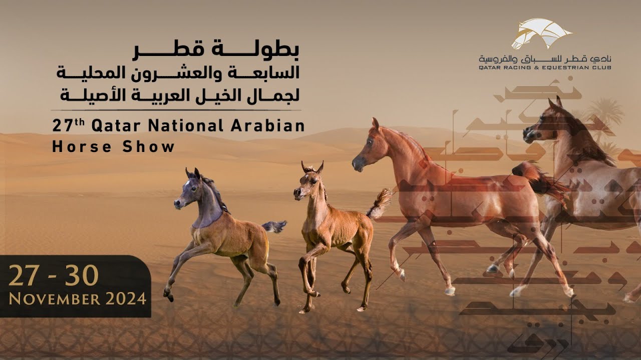 27th Qatar National Arabian Horse Show (Day1) - Total Horse Channel ...