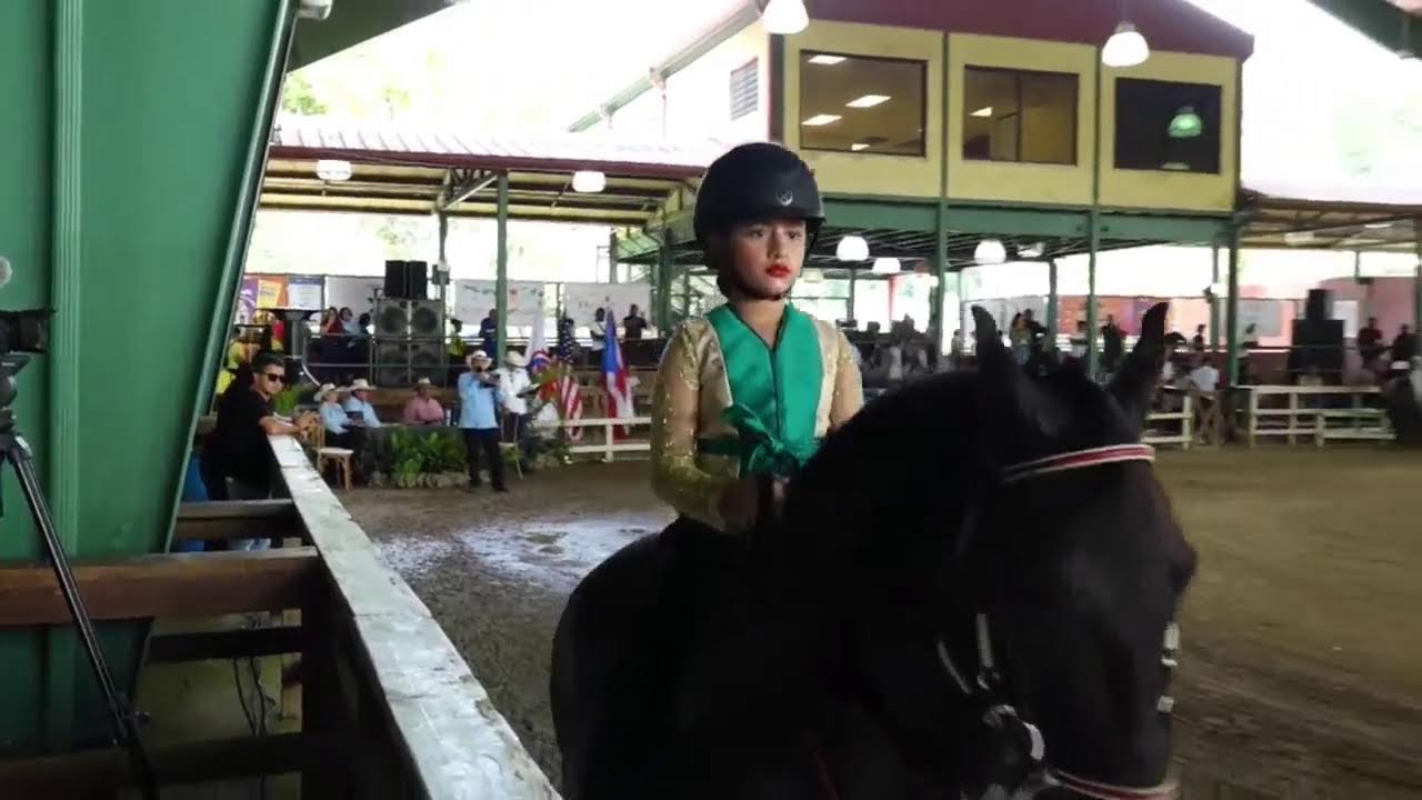 2do Gran Nacional de Caballos de Paso de Puerto Rico 2023- Dia 1 ...