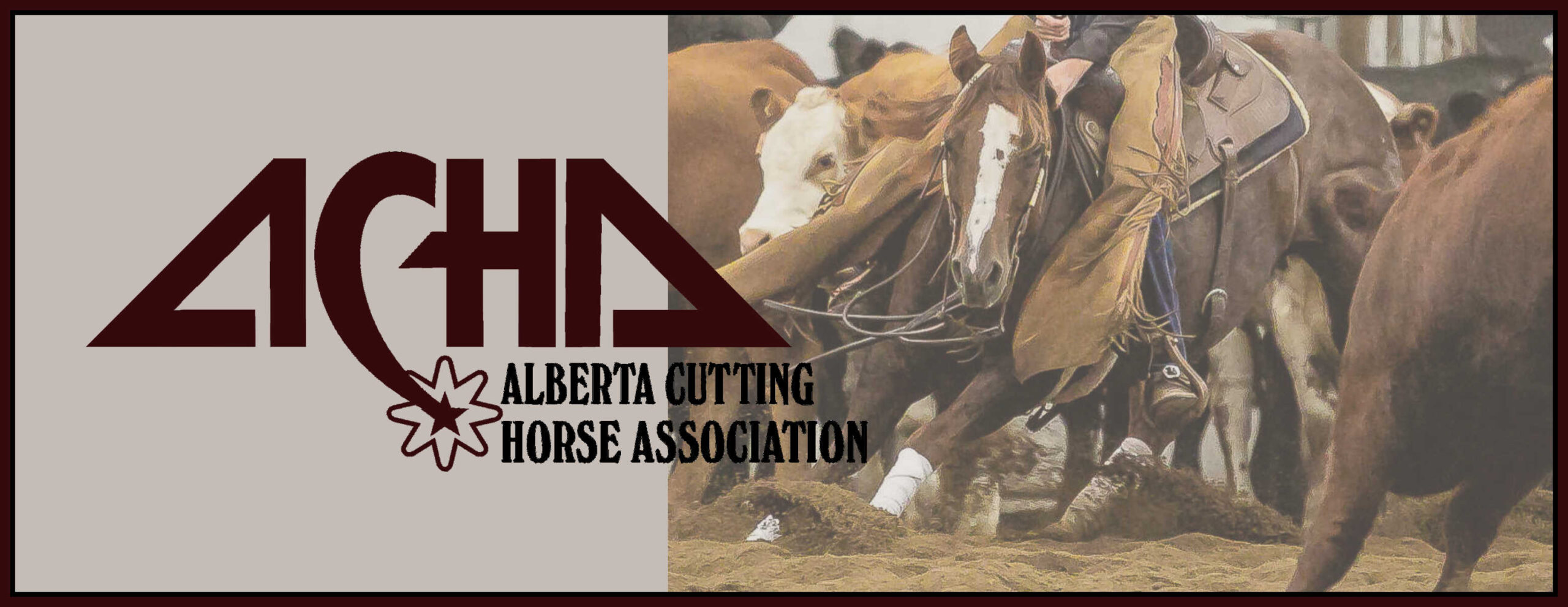2024 ACHA Silver Slate Spring Fling | April 20th - Total Horse Channel ...