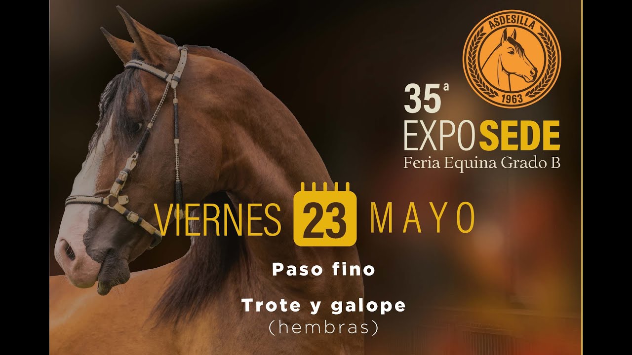 35º EXPOSEDE 2025 “GRADO B” DIA 2 – PASO FINO COLOMBIANO / HEMBRAS ...
