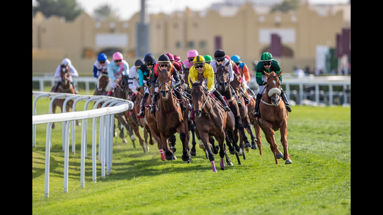 37th Al Rayyan Race Meeting – The Late Yousef Al Romaihi Cup - Total ...