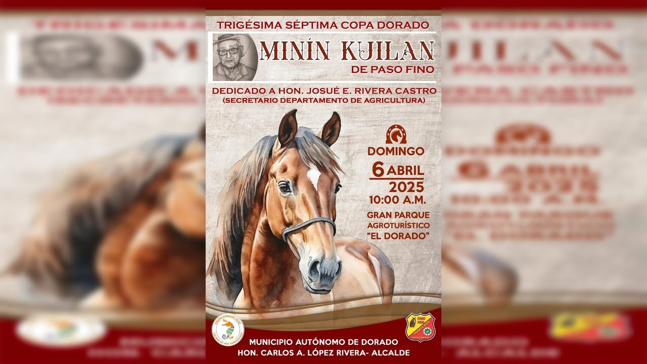 37th Dorado Mini Kuilan Cup | April 6, 2025 – Total Horse Channel ...