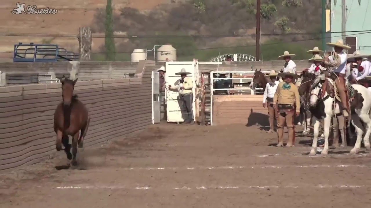 3a Charreada – Torneo del Piteado, Colotlan, Jal 4 mayo 2024 - Total ...