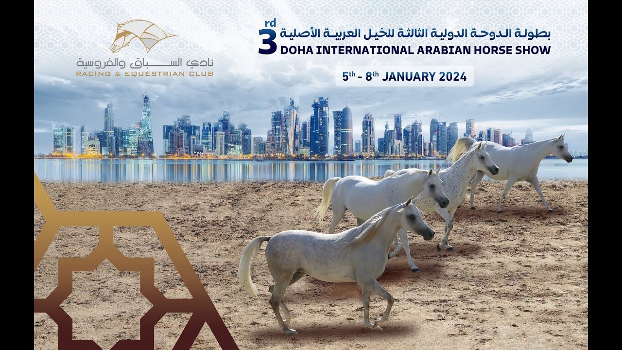 3rd Doha International Arabian Horse Show | Day 1 - Total Horse Channel ...