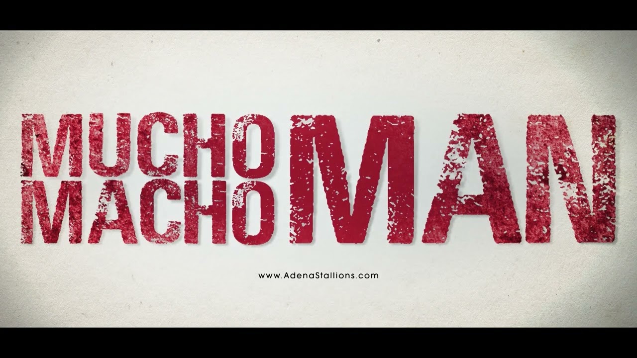 Gulfstream Park Replay Show | July 10th, 2022 - Total Horse Channel ...