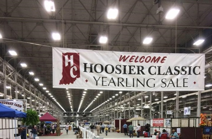 2024 Hoosier Classic Yearling Sale - Total Horse Channel | Equestrian TV