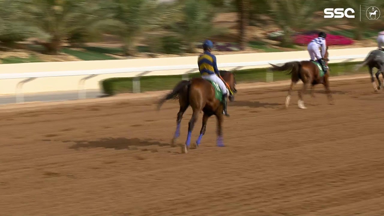 JCSA:RIYADH RACING SEASON | FEBRUARY 24th 2024 - Total Horse Channel ...