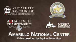 LIVE Events - Total Horse Channel | Equestrian TV