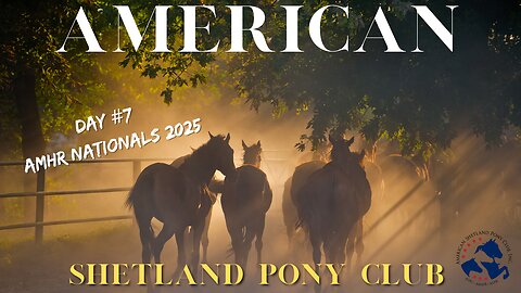 AMHR Nationals 2025 (Day #7)Ford Arena 9/10/2025 - Total Horse Channel ...