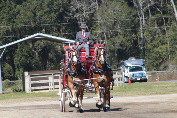2024 Grandview Invitational | Candid Photos - Total Horse Channel ...