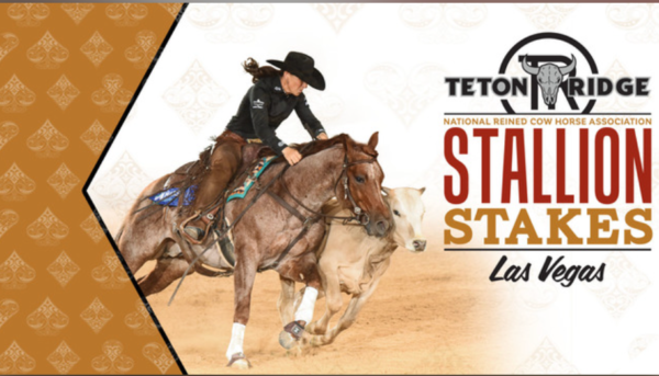 NRCHA Stallion Stakes | Priefert - Total Horse Channel | Equestrian TV