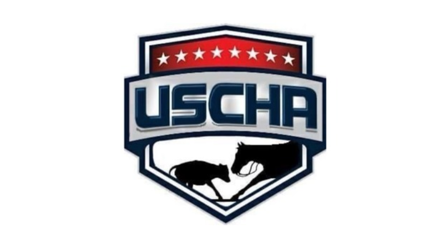 USCHA Region 4 | LIVE - Total Horse Channel | Equestrian TV