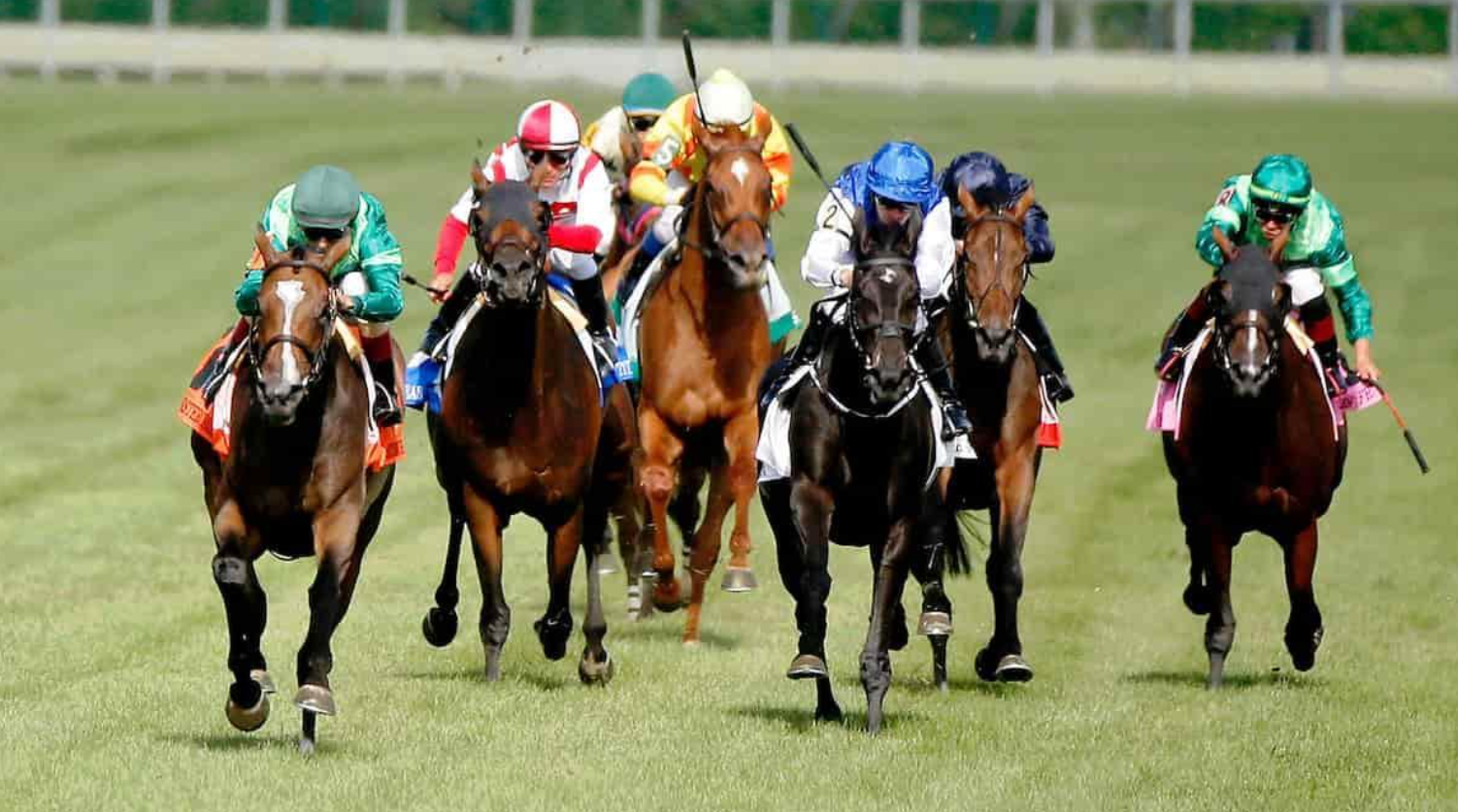 Horse Racing Preview: The 2022 Beverly D and Arlington Million Return ...